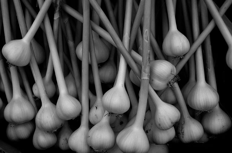 Boyajian - America's Original Garlic Oil - Cook Authentic